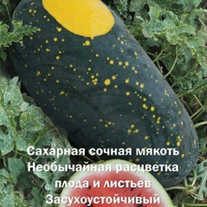 Семена Арбуз Звезда 5 шт.