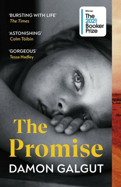 Galgut, Damon "The Promise"