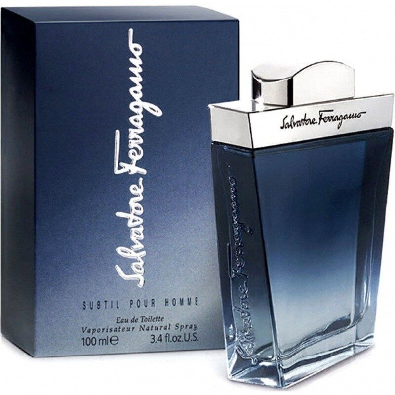 Salvatore Ferragamo Subtil Pour Homme Туалетная вода для мужчин 100 ml