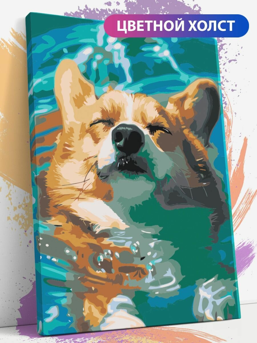 Картина по номерам на холсте с подрамником "Корги. Собаки", 30х40 см