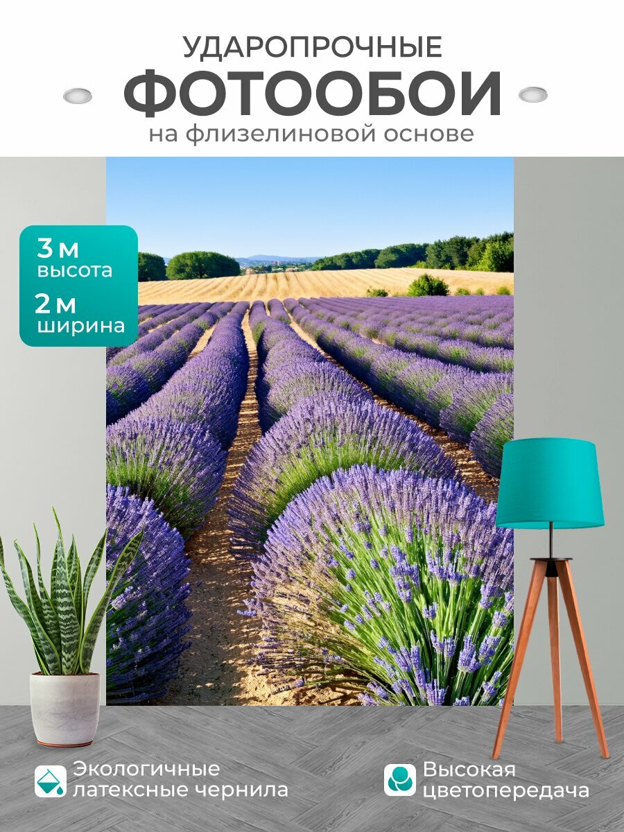Фотообои моющиеся ударопрочные "Прованс, сваженные поля лаванды под ярким солнцем; воздушная перспектива и реалистичный стиль фотосъемки." 200x300 см. флизелиновые на стену