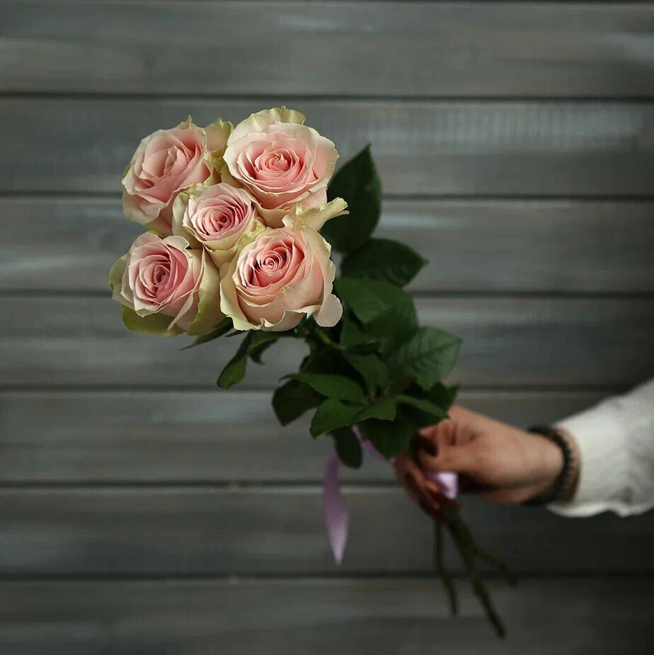 5 нежно-розовых роз Эквадор 50 см, монобукет от Букет Маркет
