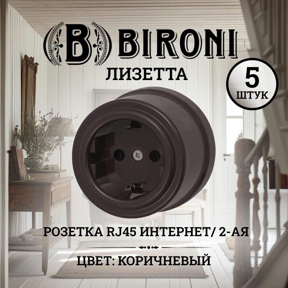4 шт. BIRONI Пластик Коричневый Розетка с заземлением B1-101-22