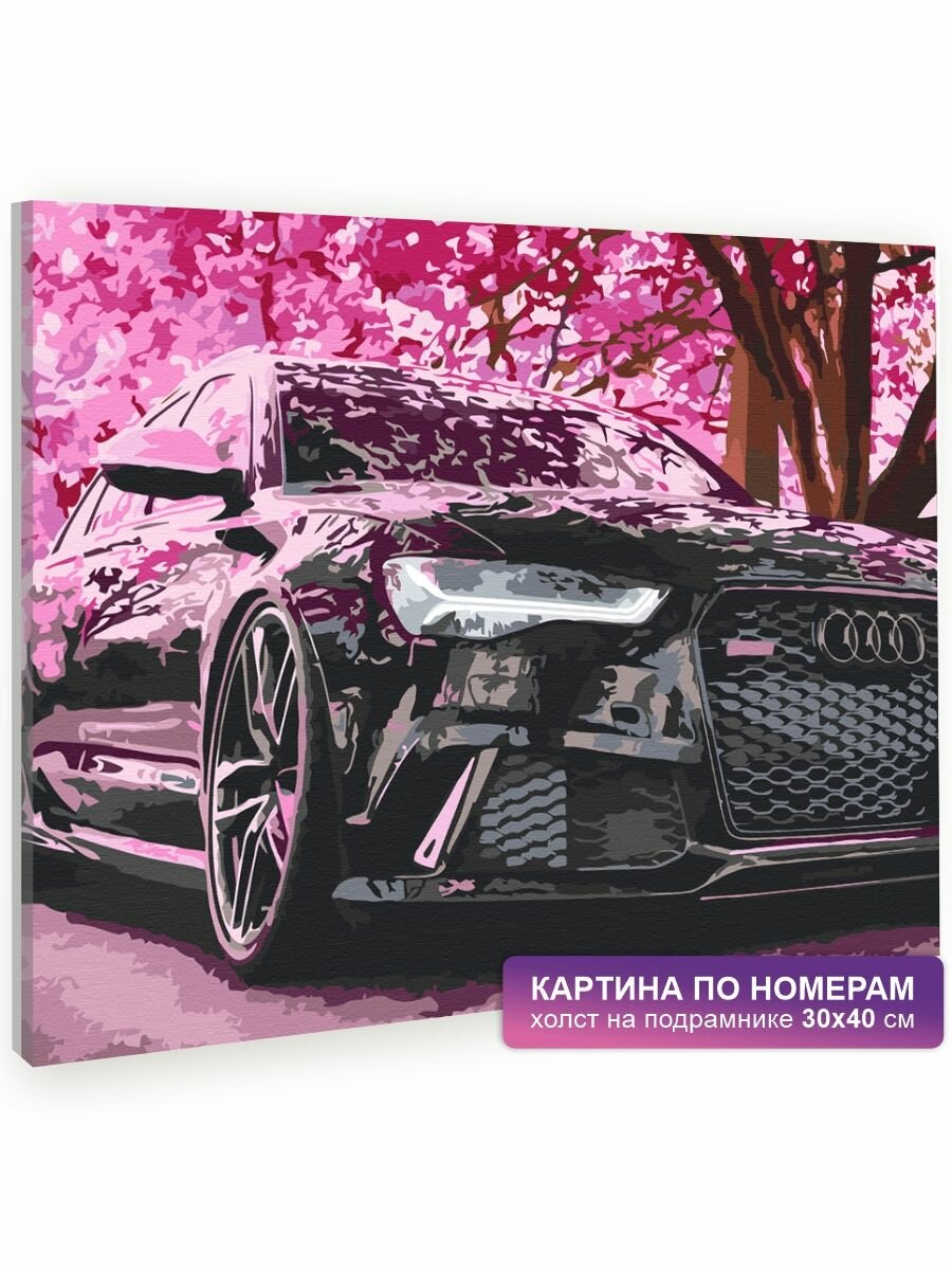 Картина по номерам на холсте с подрамником 30х40 см. Автомобиль, машина. "Ауди Audi RS6", арт. 7034/