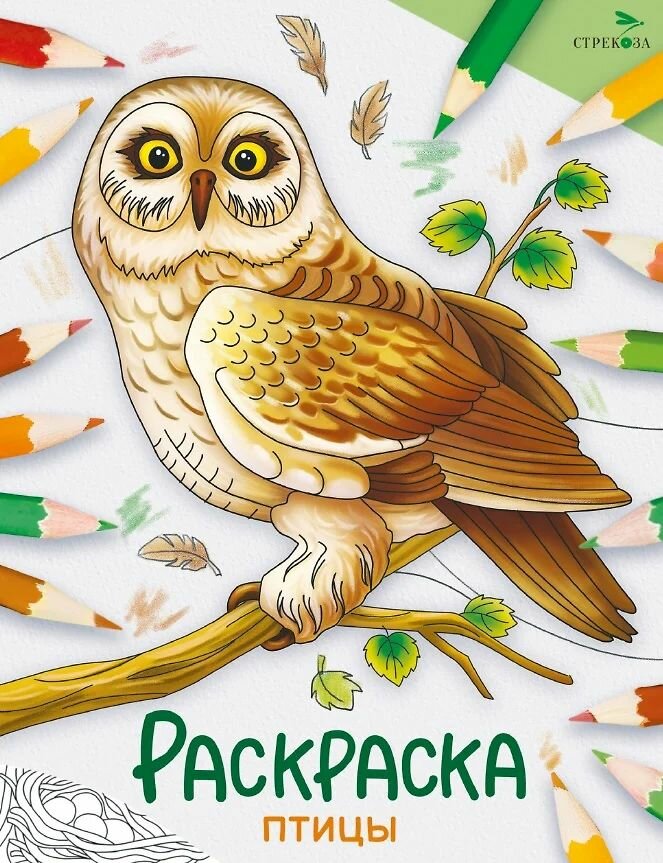 Обучающая раскраска Стрекоза "Птицы", Окружающий мир, 18 страниц