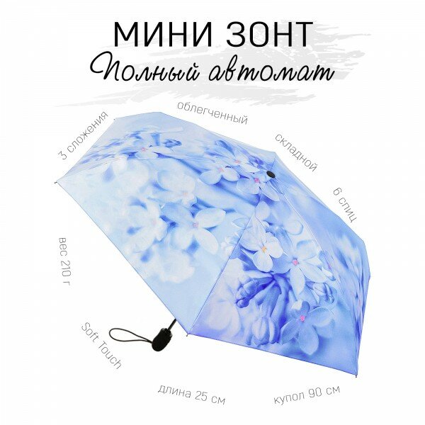 Зонты