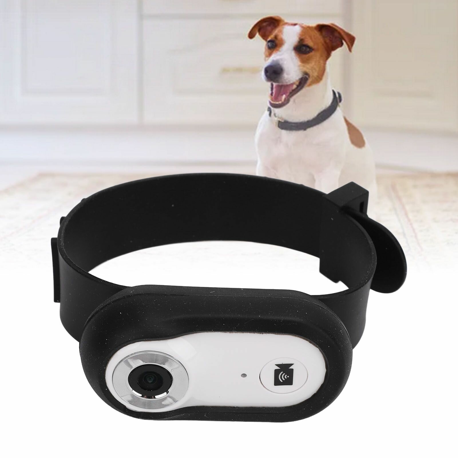 Экшн-камера для животных-8