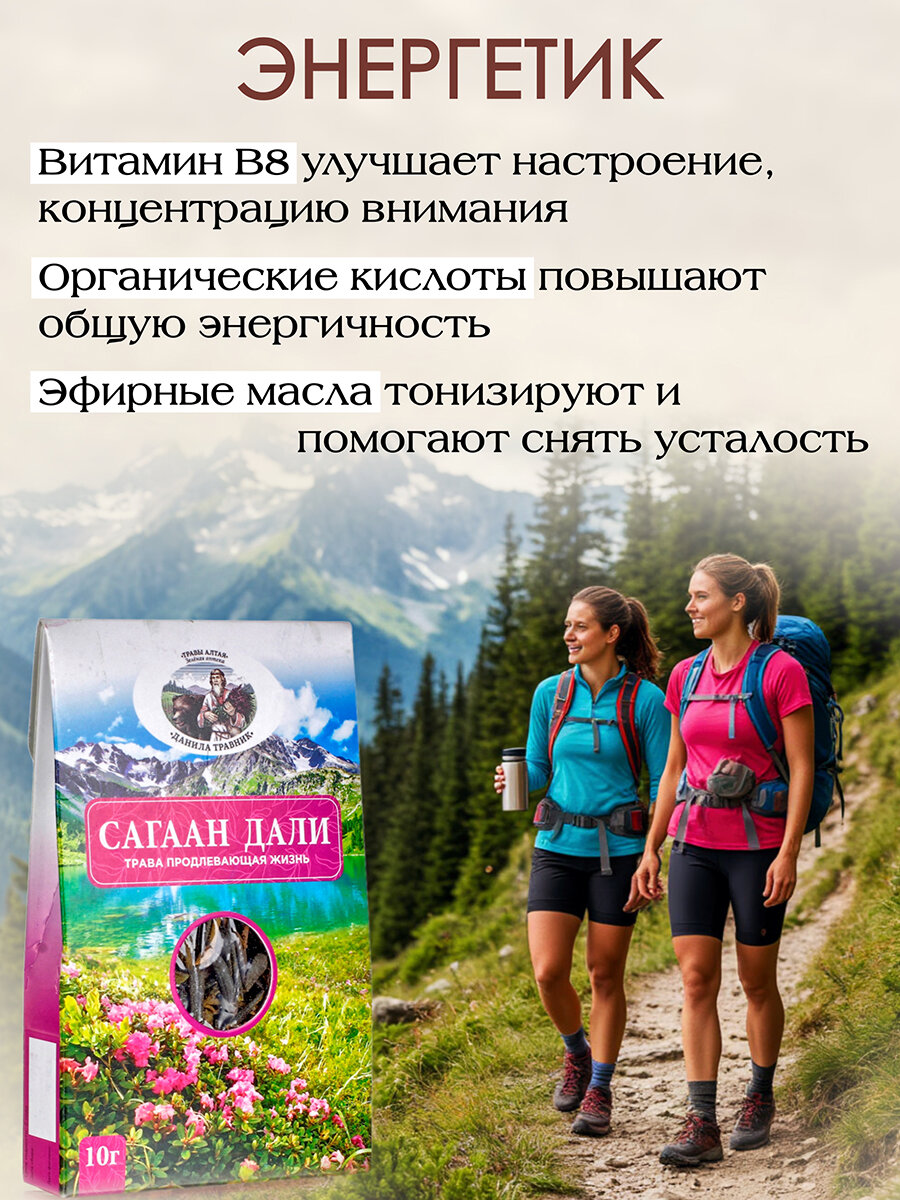 Сагаан Дали ( листья и стебли ) 10 гр. ручной сбор от Данилы Травника — фото 1
