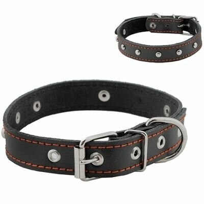 HOMEPET ошейник для собак С украшениями, простроченный, кожаный, черный, 32-42 см