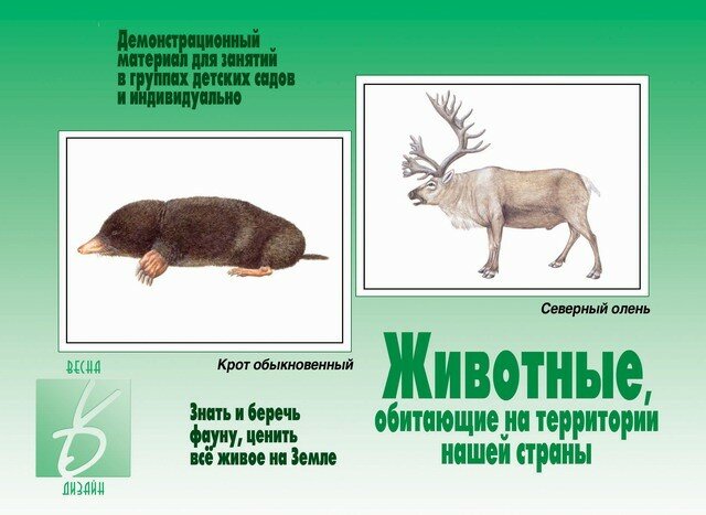 Игра Животные обитающие на территории нашей страны