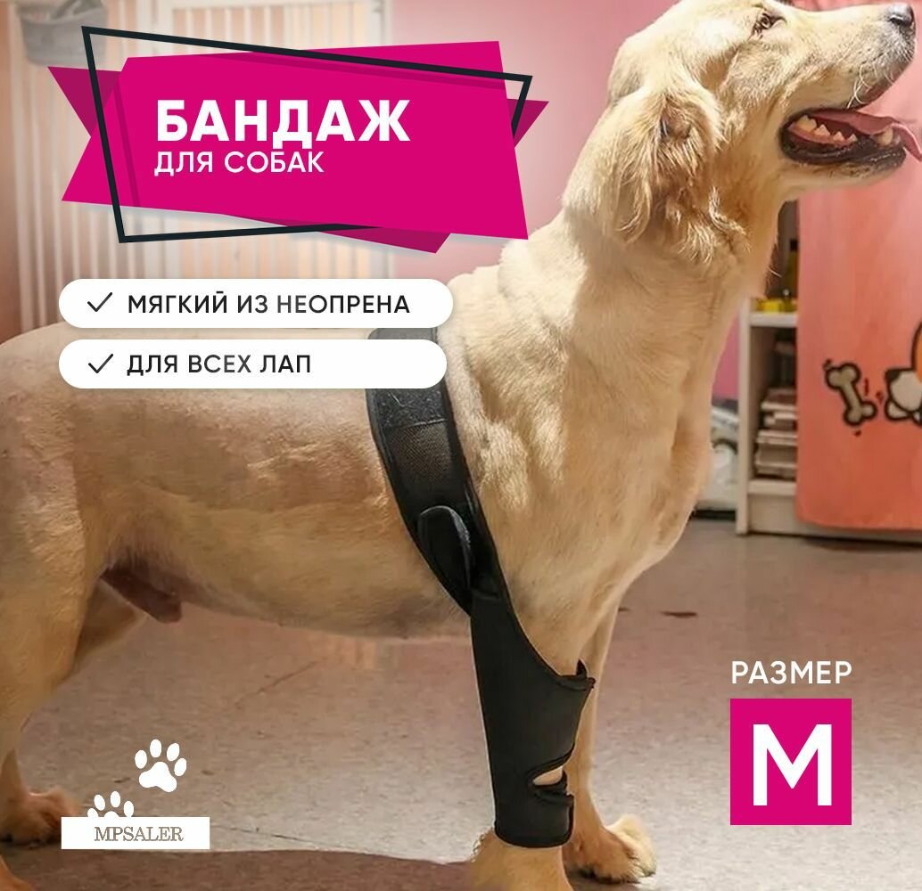 Бандаж для собак на заднюю и переднюю лапу. На локтевой и коленный сустав. Размер M