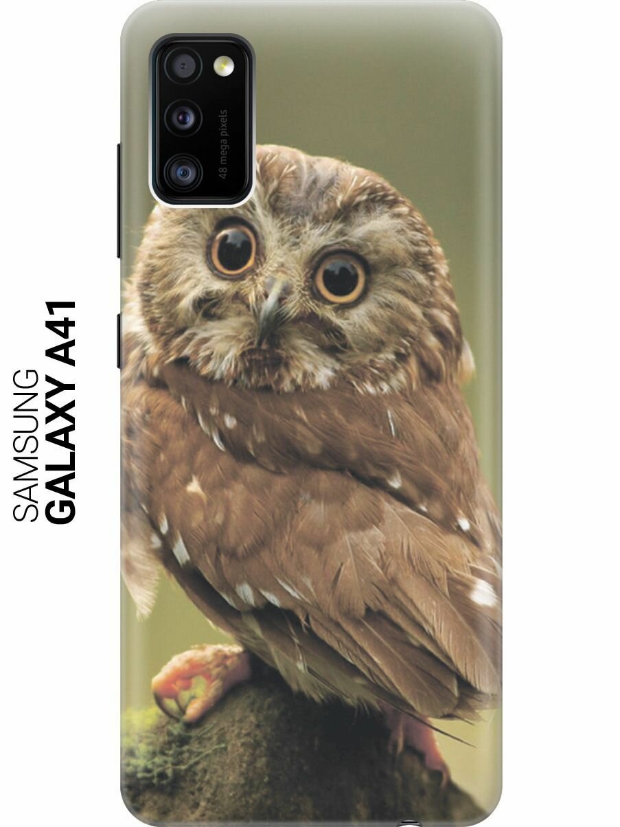 Силиконовый чехол на Samsung Galaxy A41, Самсунг А41 с принтом "Сова на дереве"