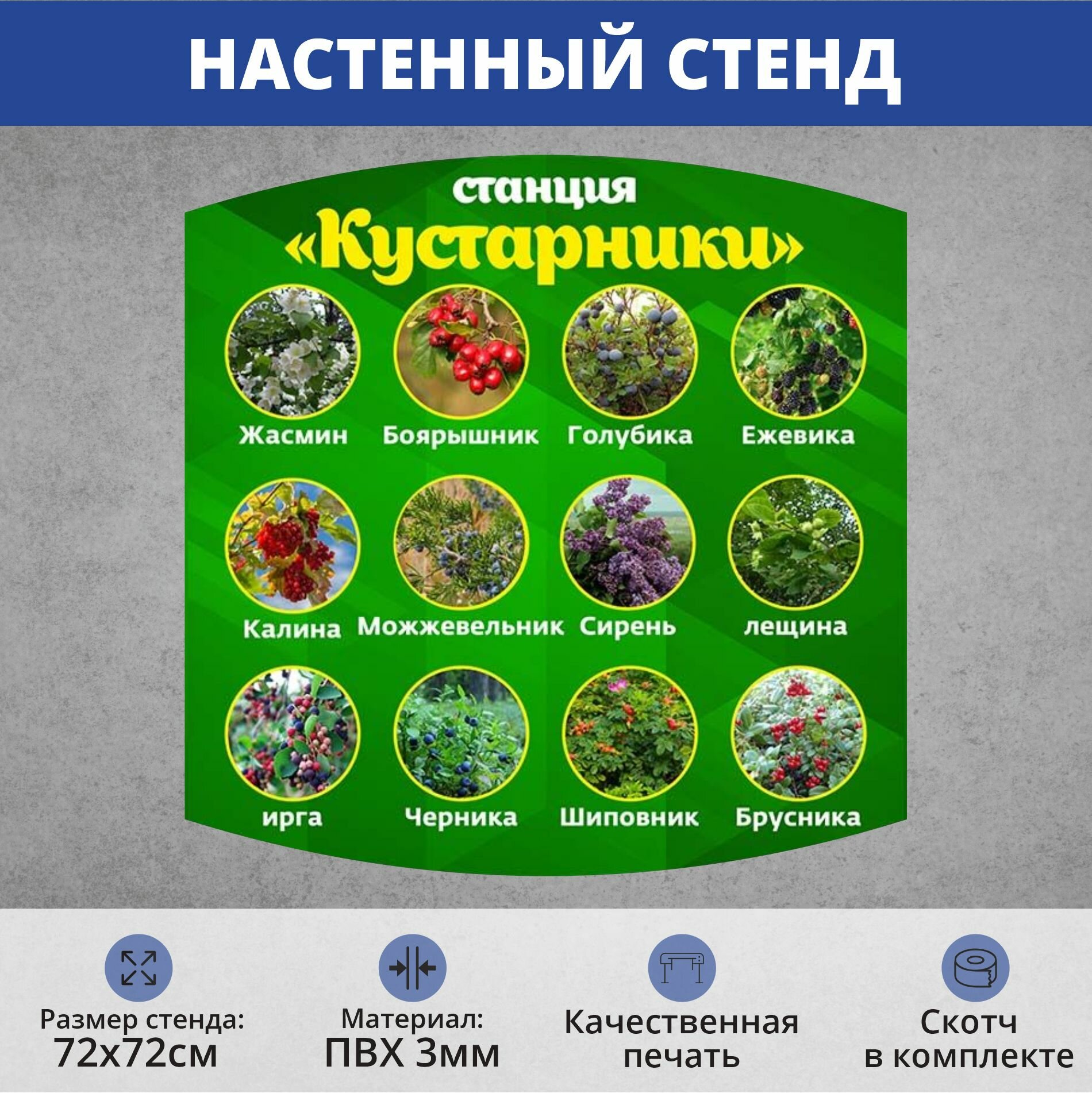 Информационный стенд настенный для садика "Станция Кустарник" (Большой размер 720х720мм)