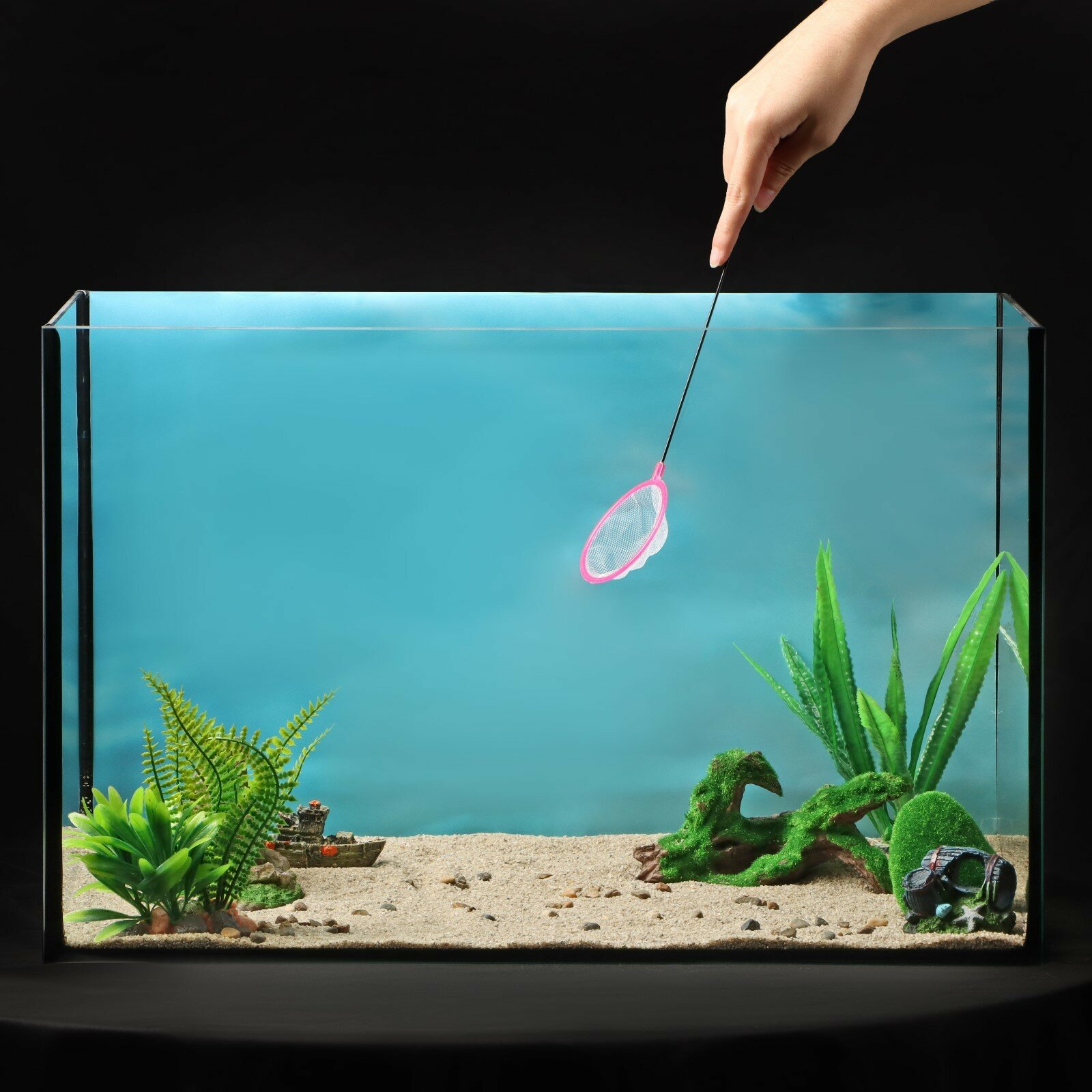 Сачок аквариумный круглый, 31,5 см, Ø7,2 см, микс цветов1уп*1шт