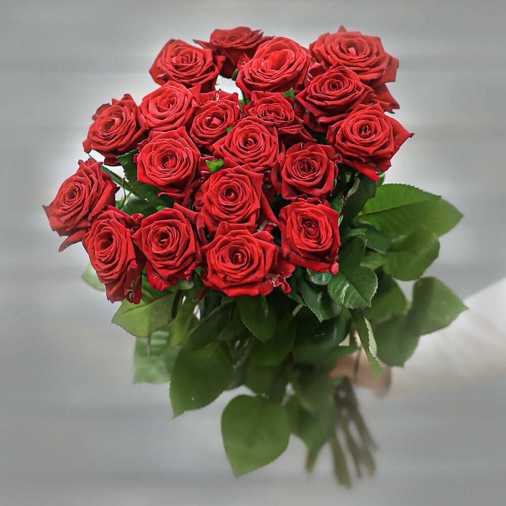 Букет живых цветов из 19 красных роз (Россия) с лентой 50 см