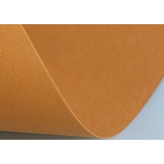 Картон Fabriano для творчества (1 лист) Elle Erre А2+ 500х700 мм, 220 г/м2, светло-коричневый, 42450703