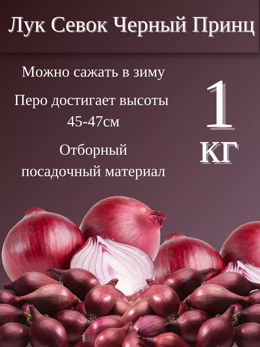 Лук Севок сорт "Черный Принц" 1кг