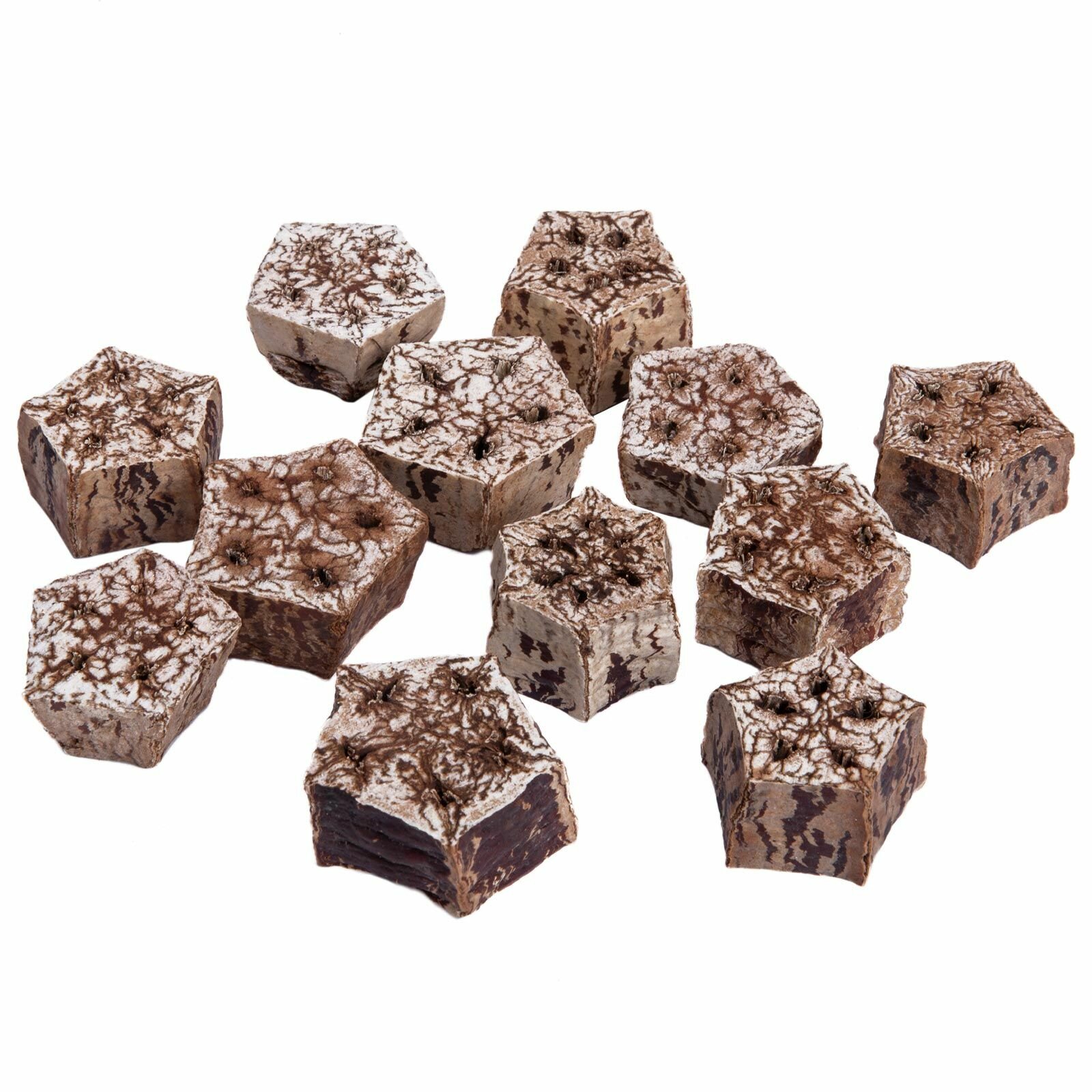 Попугай жует фрукты, чтобы избавиться от скуки и заточить клюв