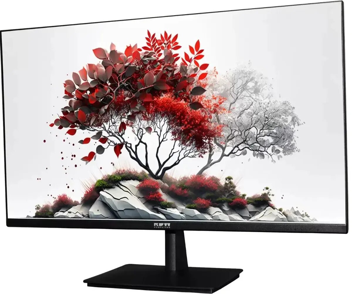 Монитор RDW Computers 27" RDW2701K черный IPS 5ms HDMI HAS