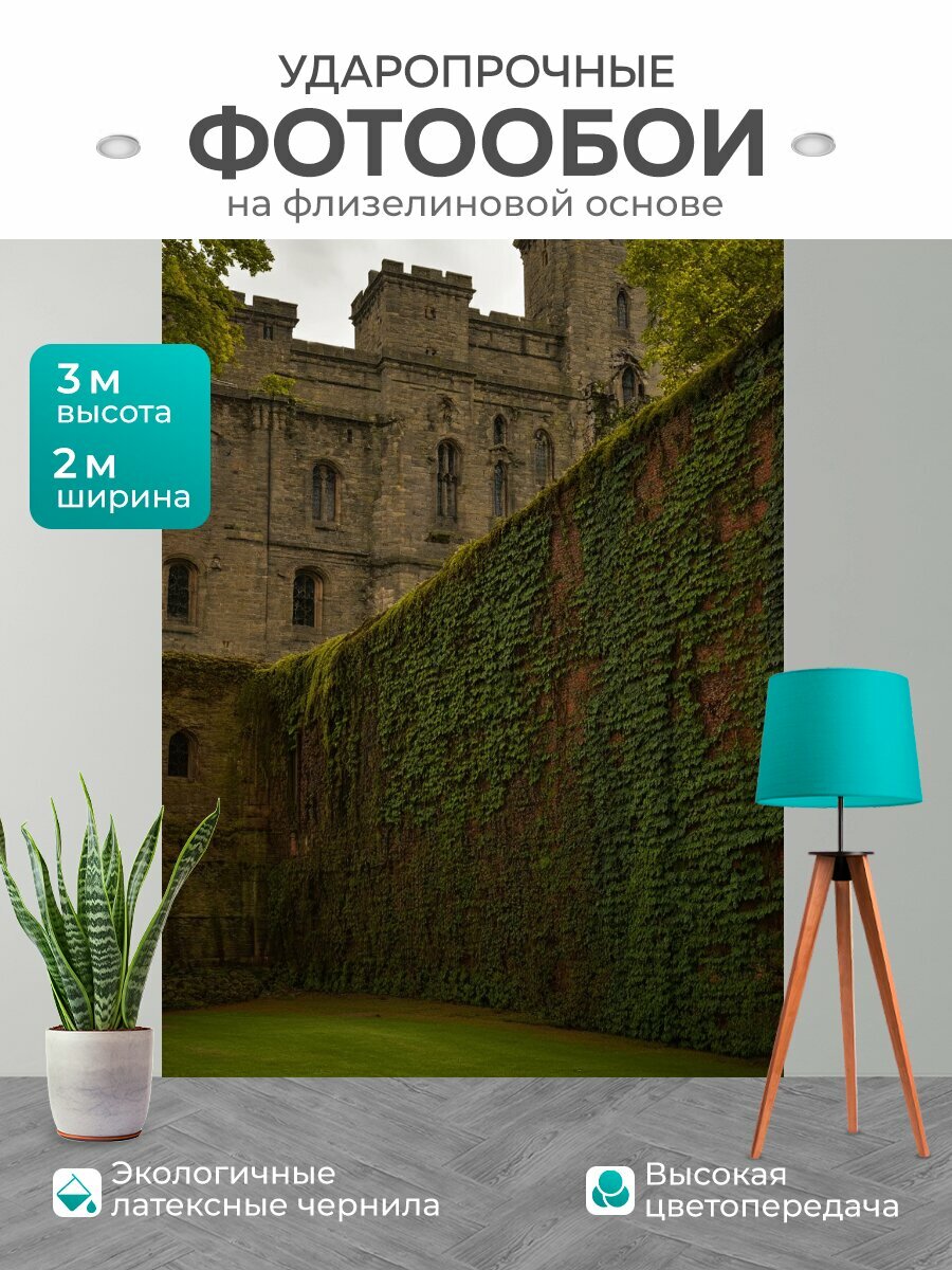 Фотообои моющиеся ударопрочные "Англия, стена старинного замка, покрытая плющом и мхом, которая рассказывает о временах, полных историй и загадок." 200x300 см. флизелиновые на стену