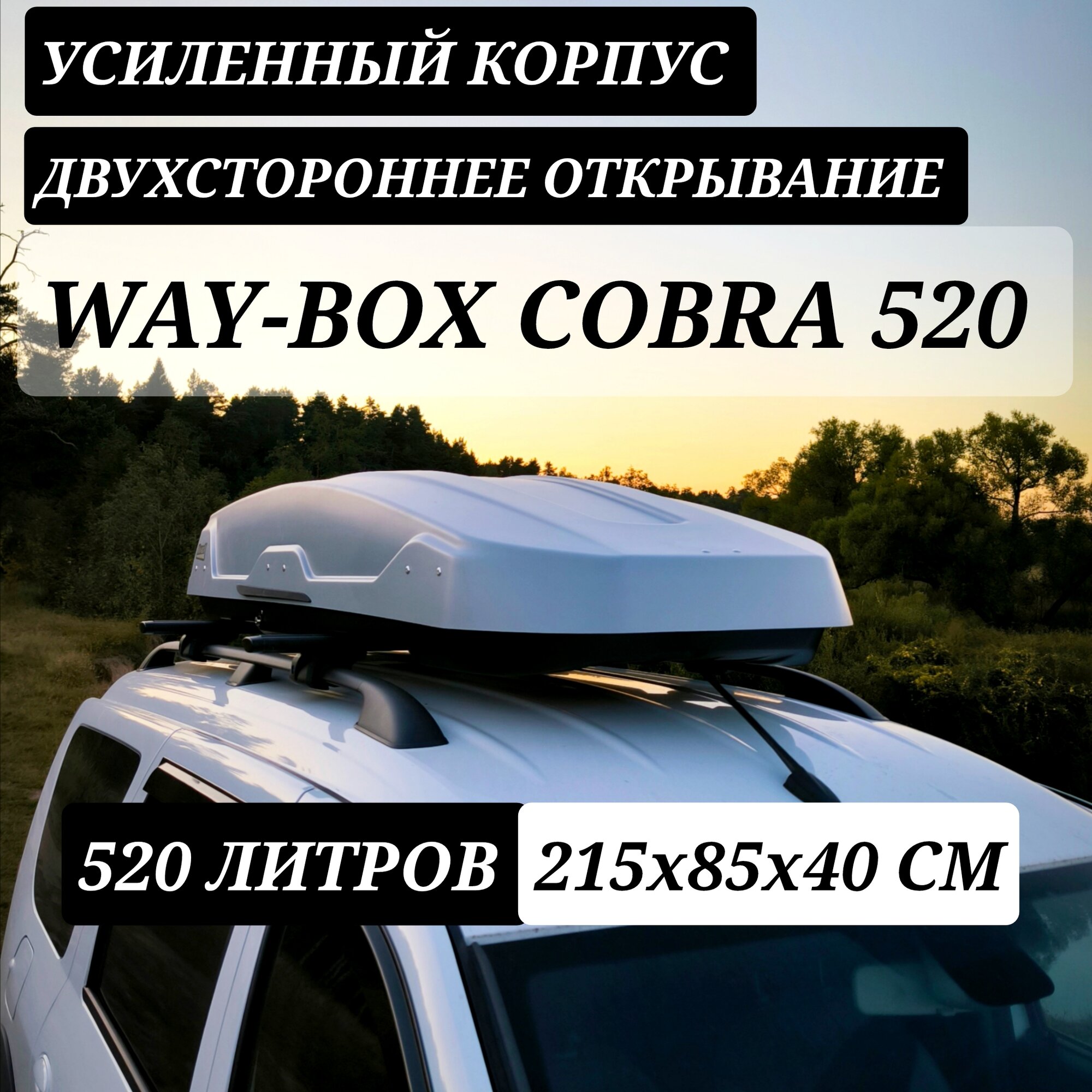 Автобокс Way-box Cobra 520 серый усиленный