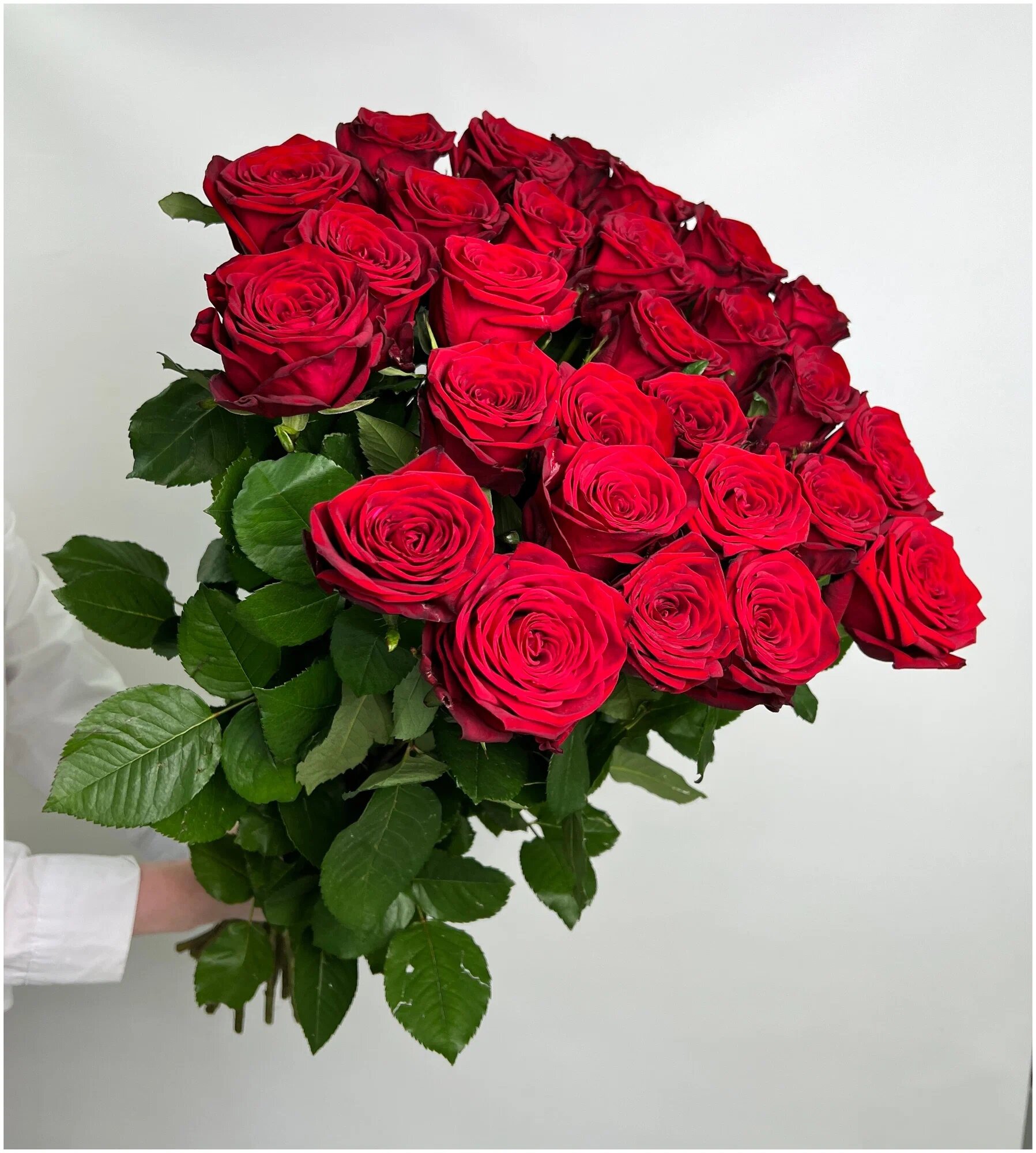 Букет красных роз 31 штук 50 см/ Розы красные доставка/ Доставка цветов по Москве