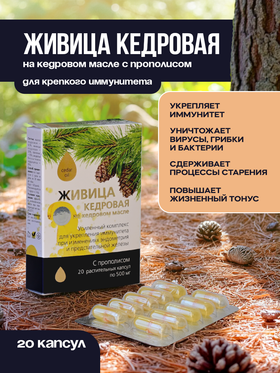 Живица кедровая на кедровом масле с прополисом 20 капсул от Сашера-Мед. Укрепление иммунитета
