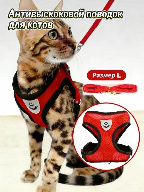 Шлейка для кошек, собак мелких, средних пород/щенков, взрослых животных с поводком, светоотражающей нашивкой/ прогулочная, анатомическая, регулируемая для дрессировки. ическа, я