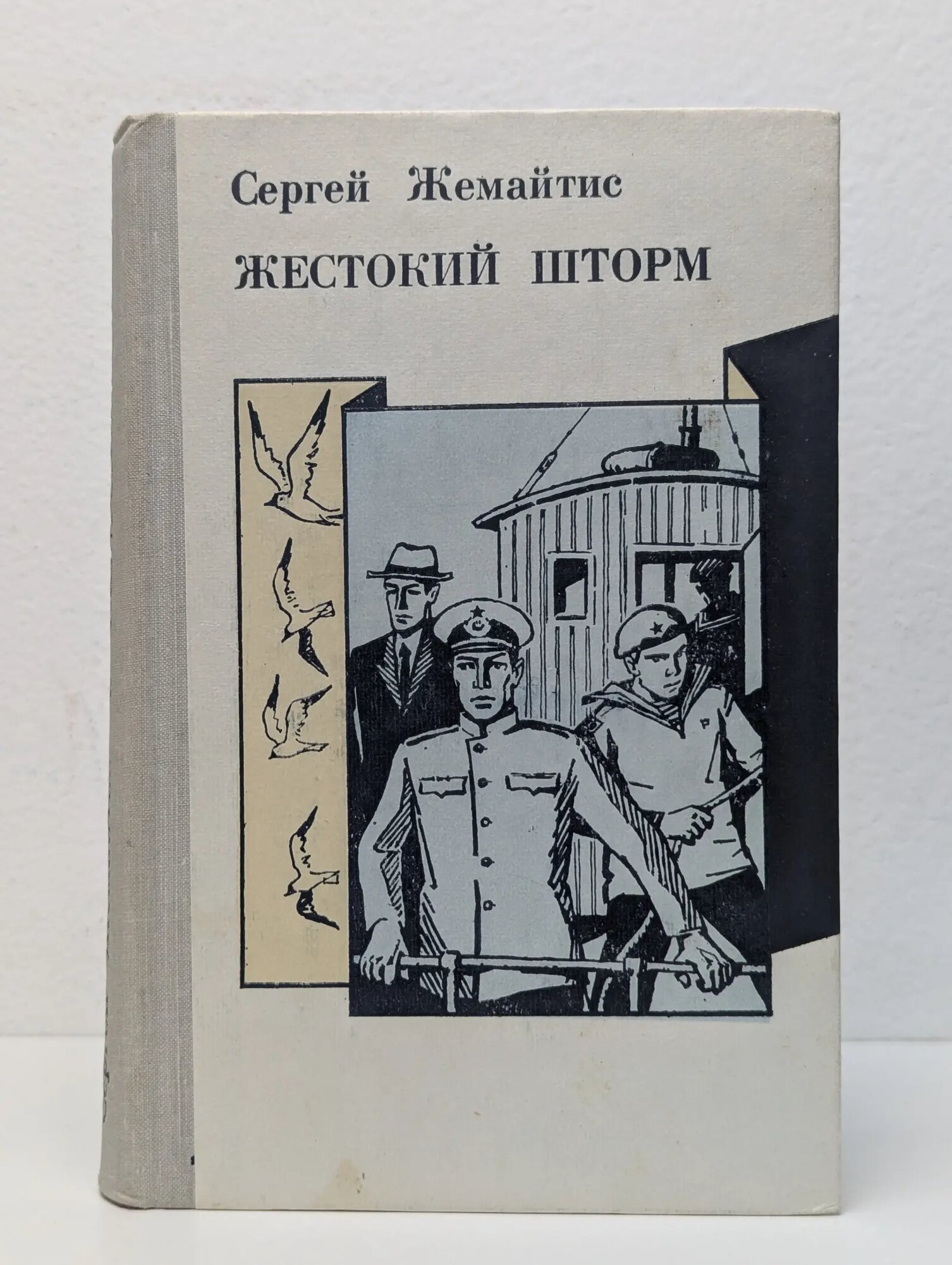 Жестокий шторм Жемайтис Сергей Георгиевич 1981