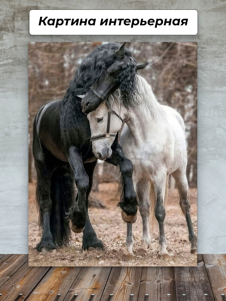 Картины для интерьера 50х70 Кони лес пара