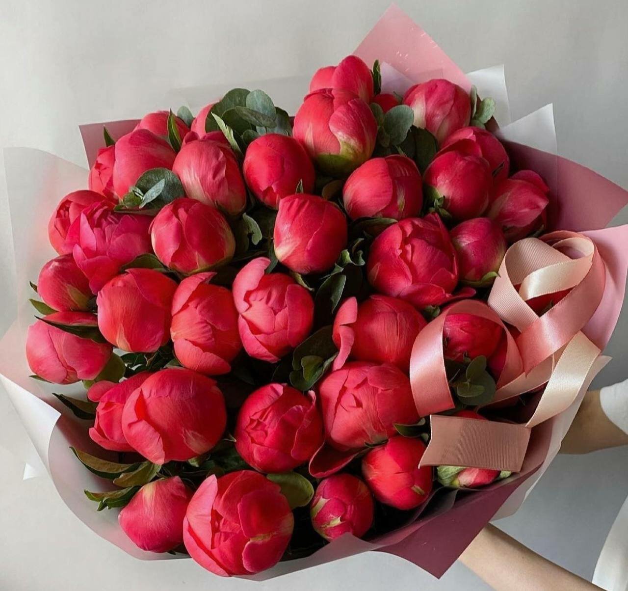 Премиум букет коралловых пионов с эвкалиптом, премиум цветы, шикарный, красивый букет цветов, пионы.