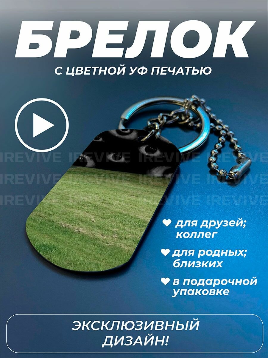 Брелок PNP