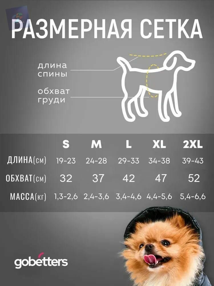 Одежда для животных — фото 1
