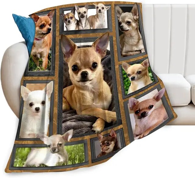 Весёлое одеяло Corgi с изображением звёздного неба – идеальный подарок для девочек, мальчиков, женщин, детей и любителей собак. Узор звёздного неба и мягкая, тёплая фланелевая отделка.