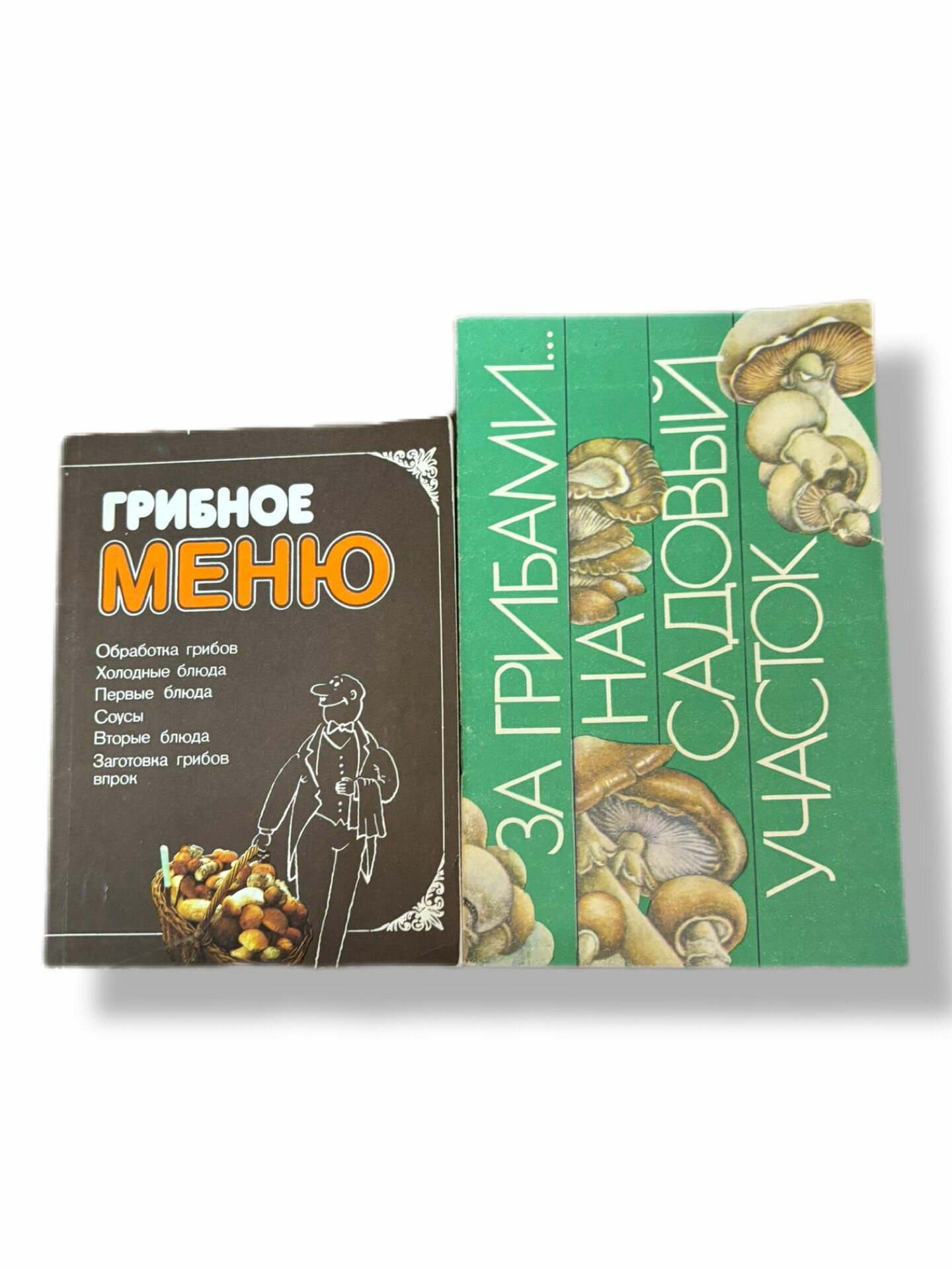 Набор из 2-х книг: За грибами. На садовый участок 1993/Грибное меню 1985