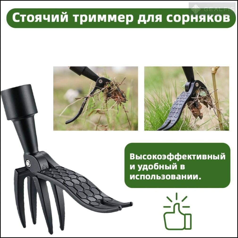 GOHDING Корнеудалитель, 6 см