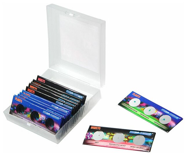 Микро препараты 36 обр.