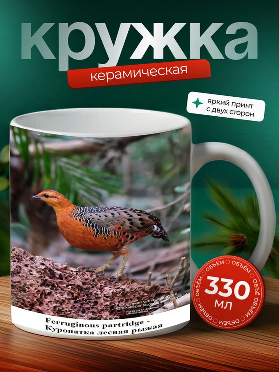 Кружка Куропатка птица,
