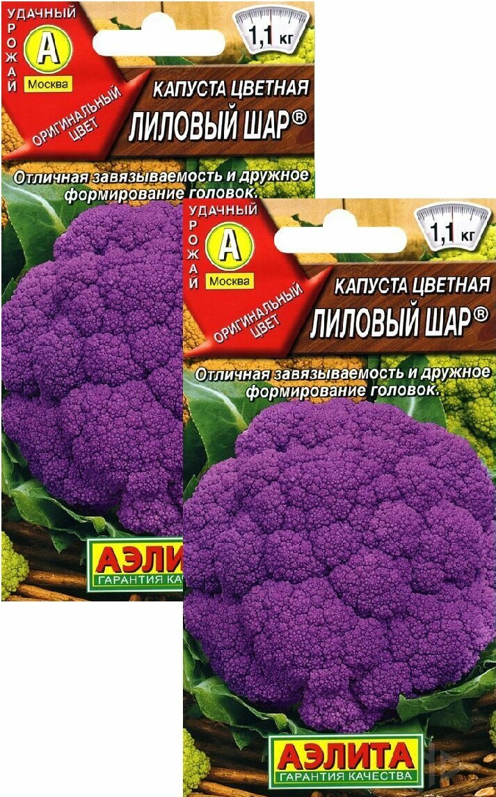Семена Капуста цветная Лиловый шар (0,15 г), 2 пакета, Агрофирма Аэлита