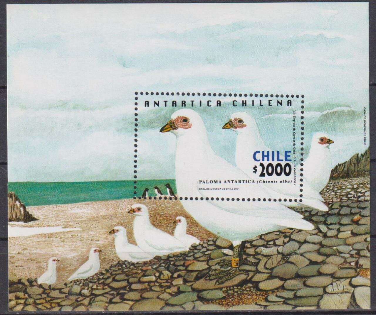 Почтовые марки Чили 2001г. "Антарктида" Птицы MNH