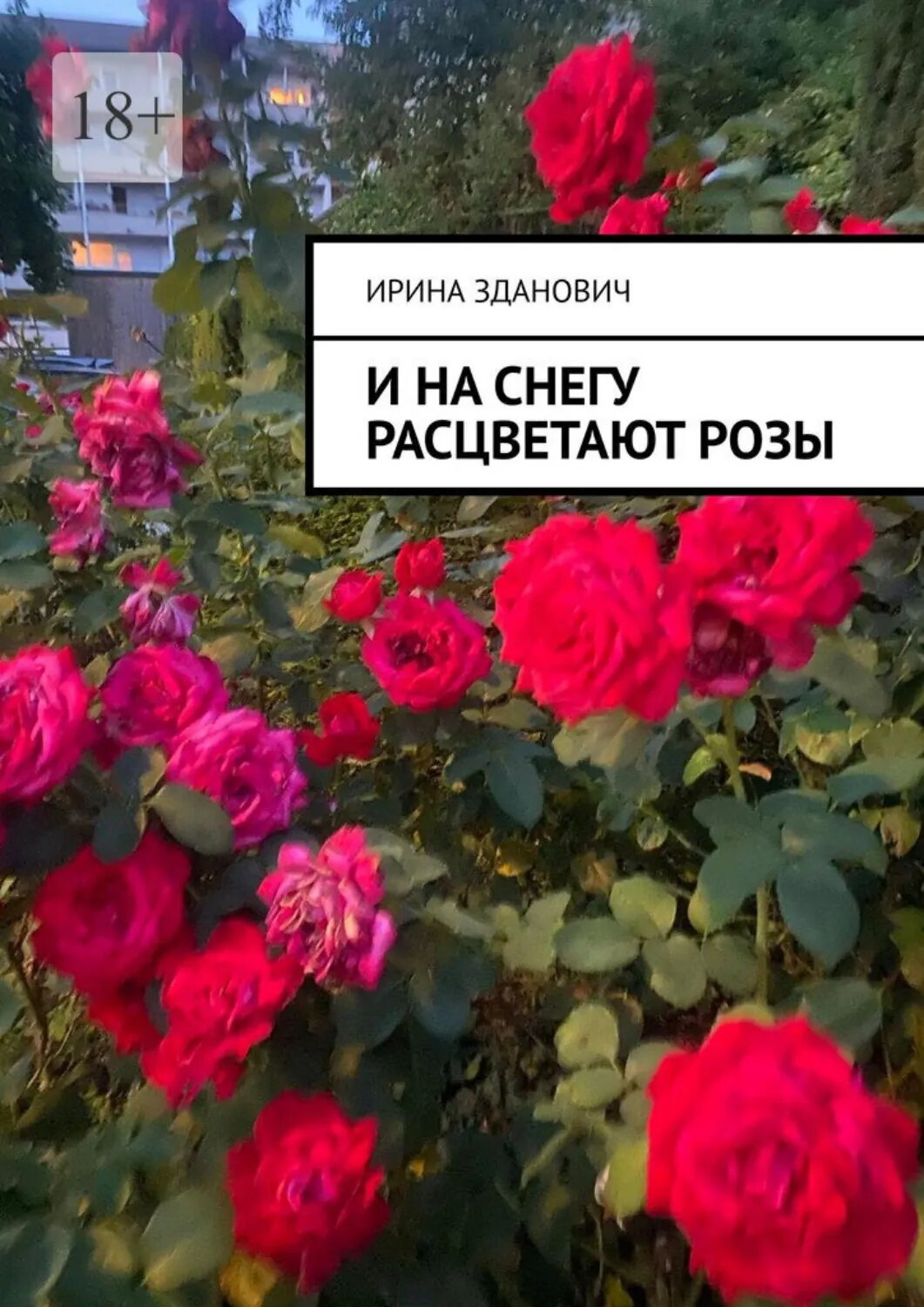 И на снегу расцветают розы [Цифровая книга]