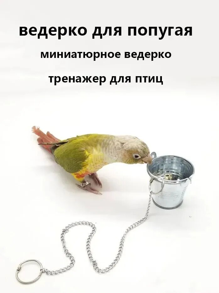 Игрушка для попугая