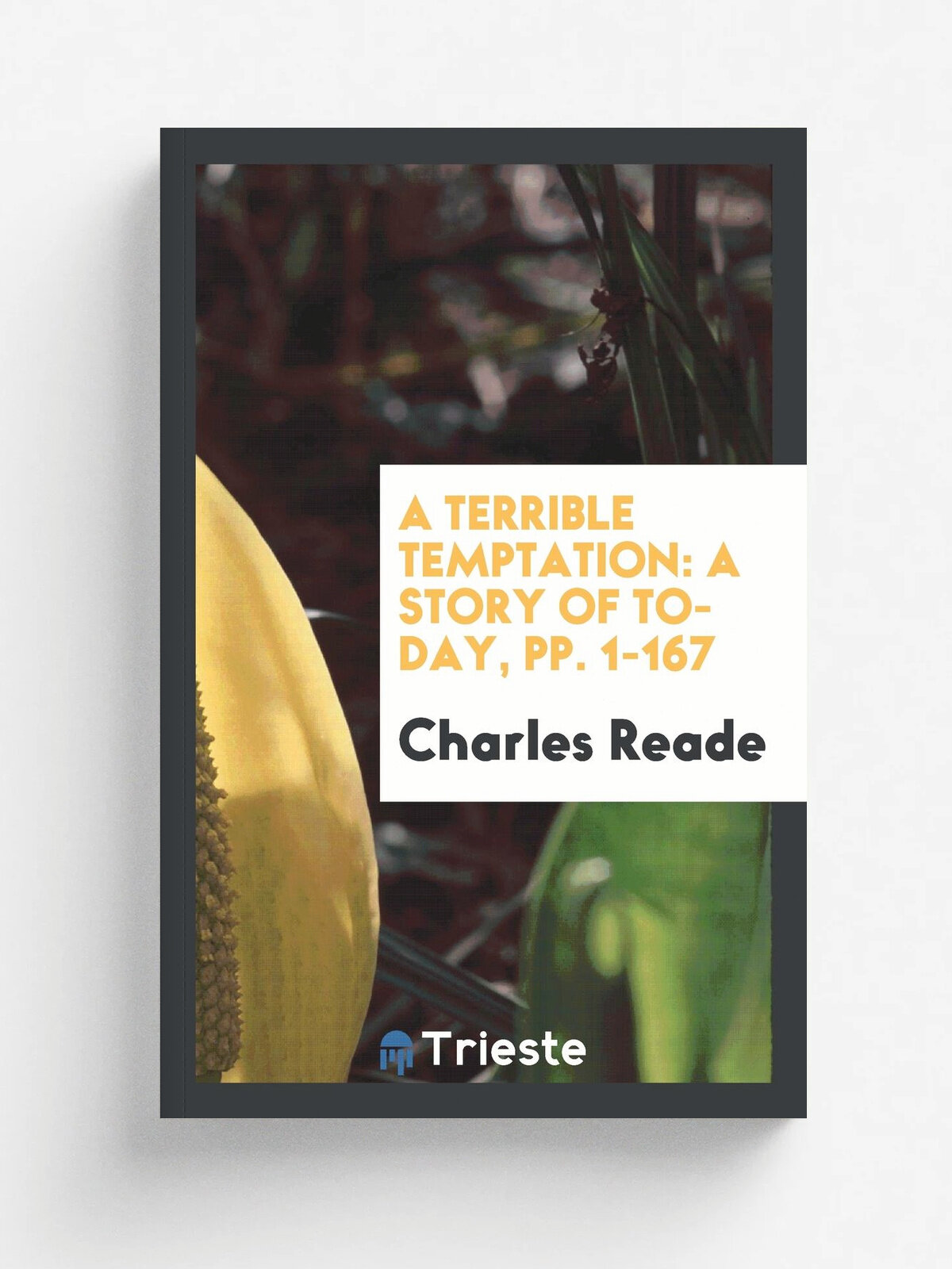 A Terrible Temptation. A Story of to-Day, pp. 1-167