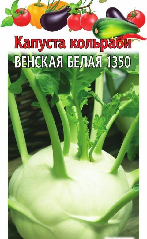 Семена Капуста кольраби Венская белая 1350