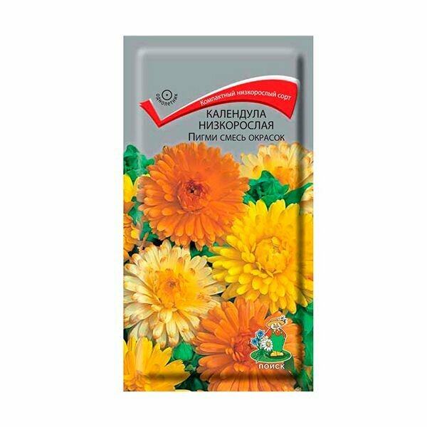 Календула низкорослая (Пигми), смесь окрасок