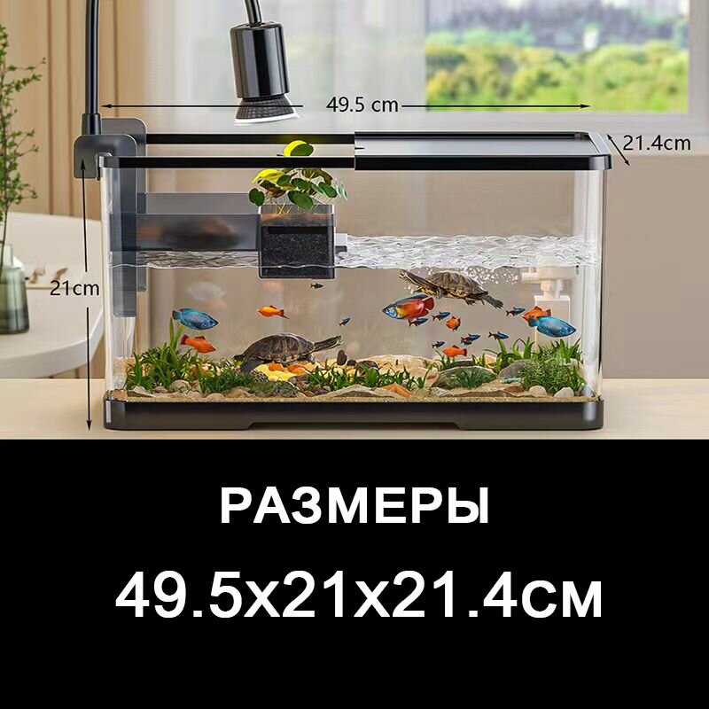 Аквариум