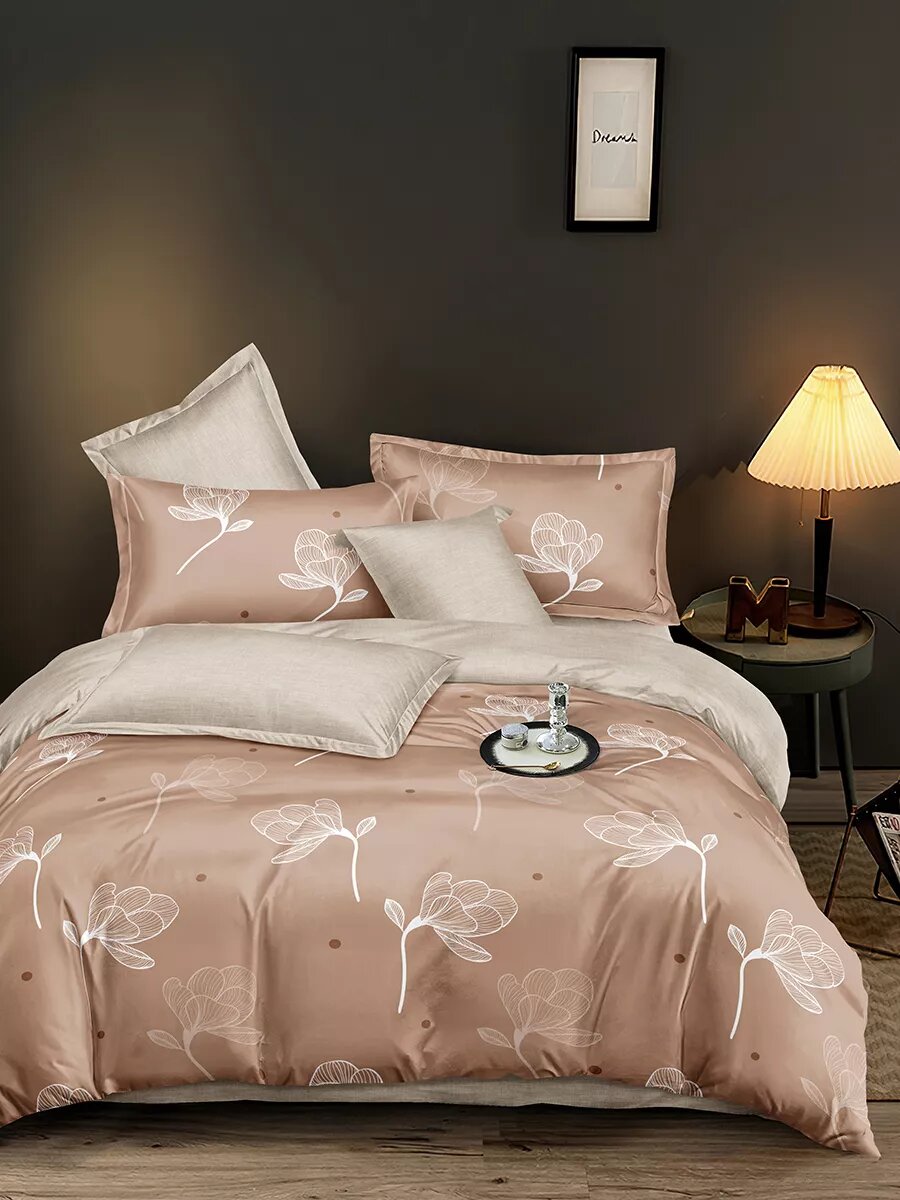 Постельное белье 2 спальное наволочки 70х70 Dream Fly