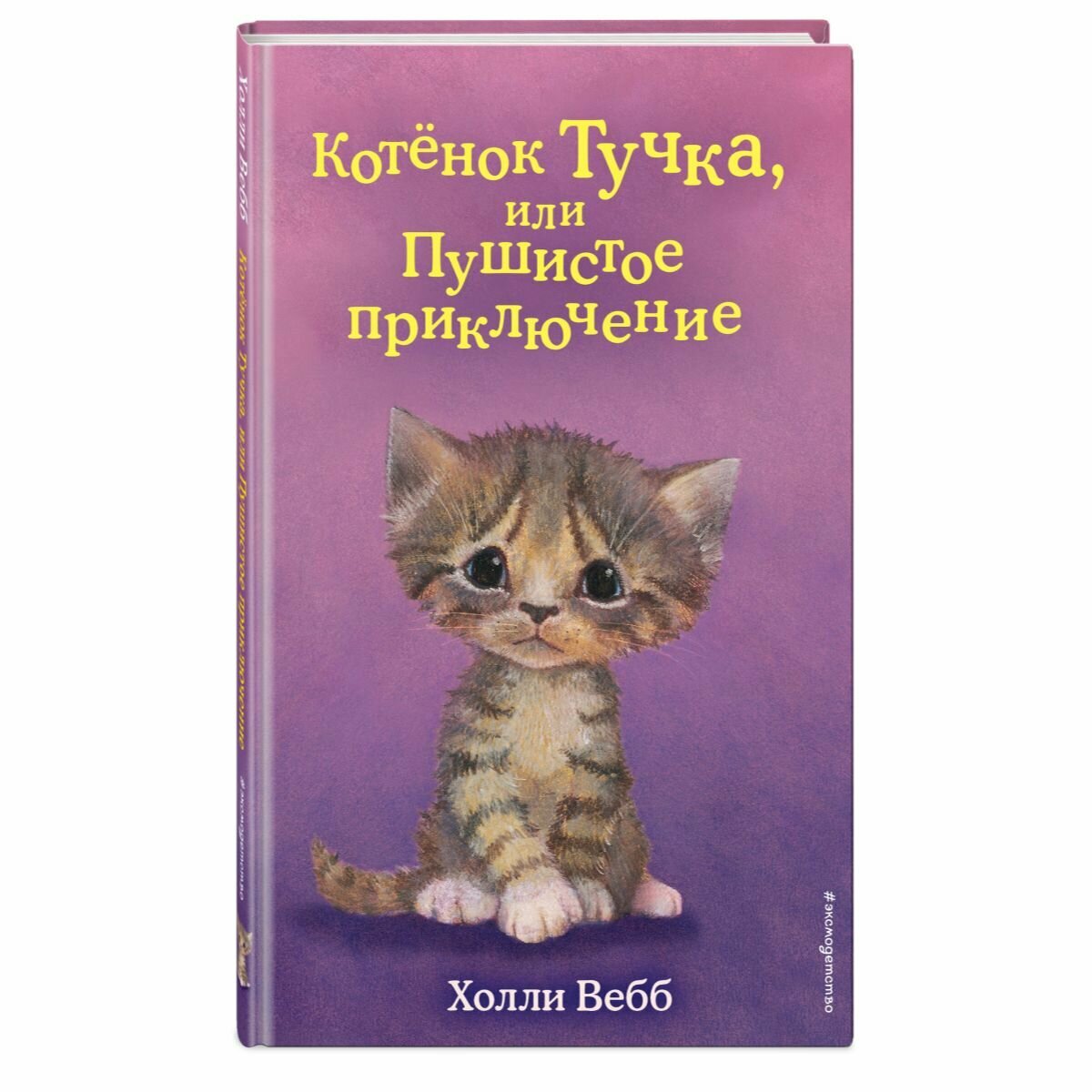 Книга "Котенок Тучка, или Пушистое приключение", Холли Вебб.