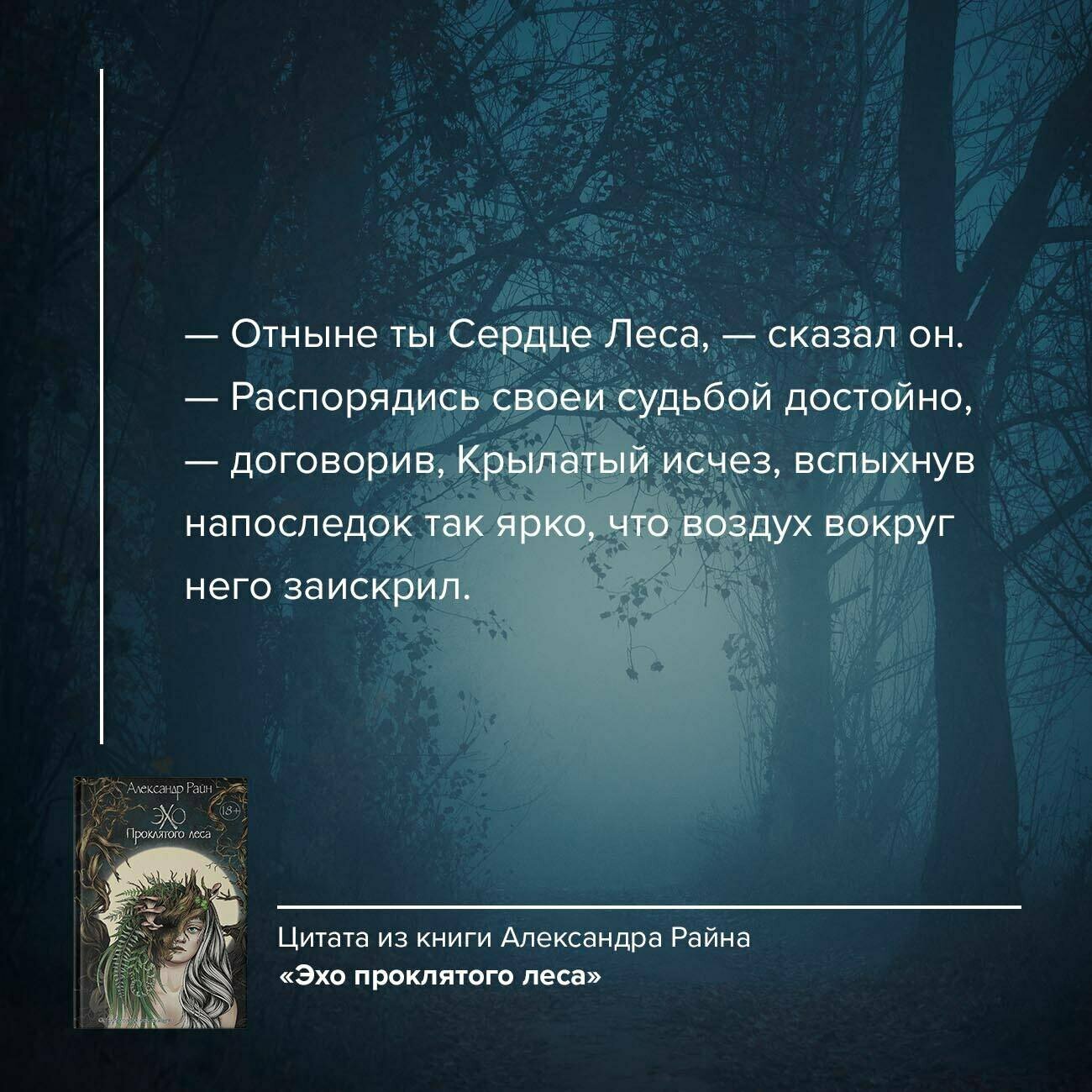 Эхо проклятого леса — фото 1
