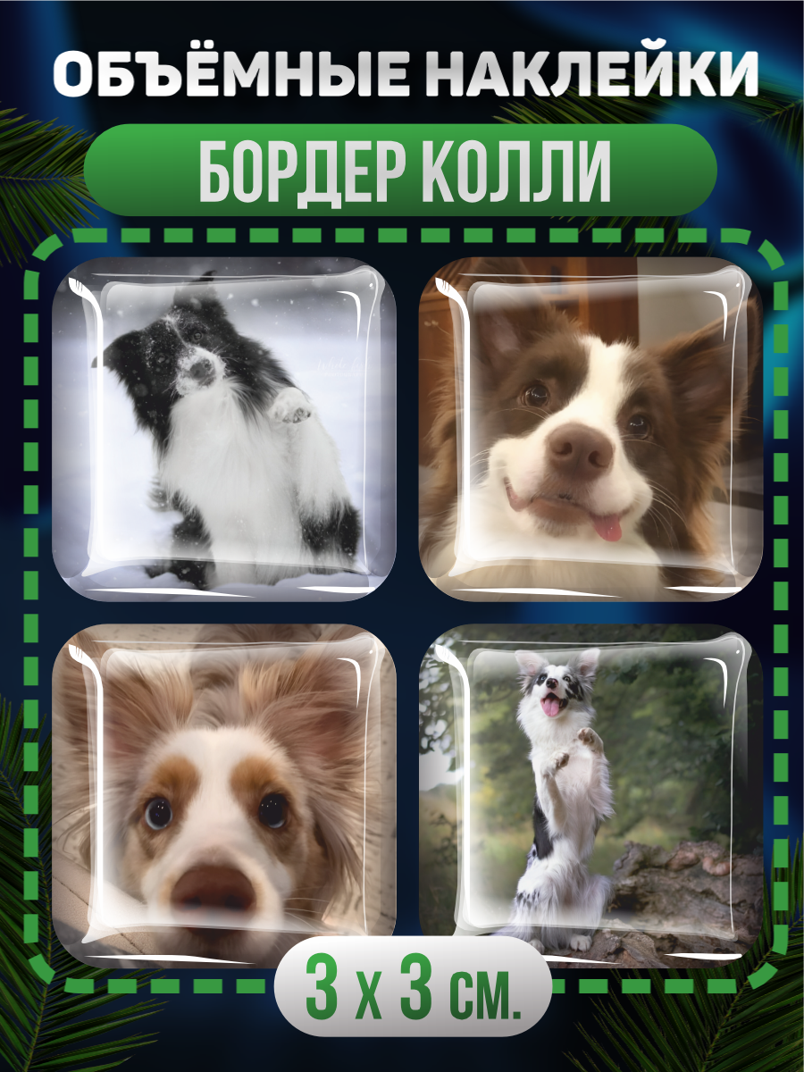 Наклейки на телефон 3D стикеры бордер колли